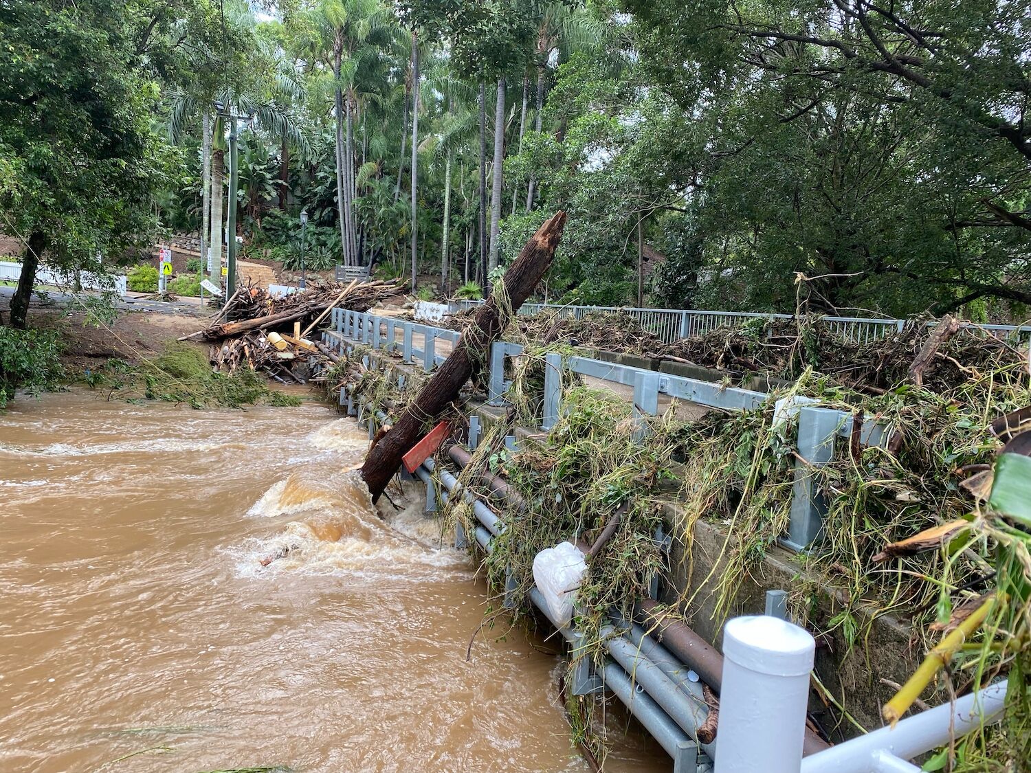 Why was Brisbane’s 2022 flood different? - Griffith News