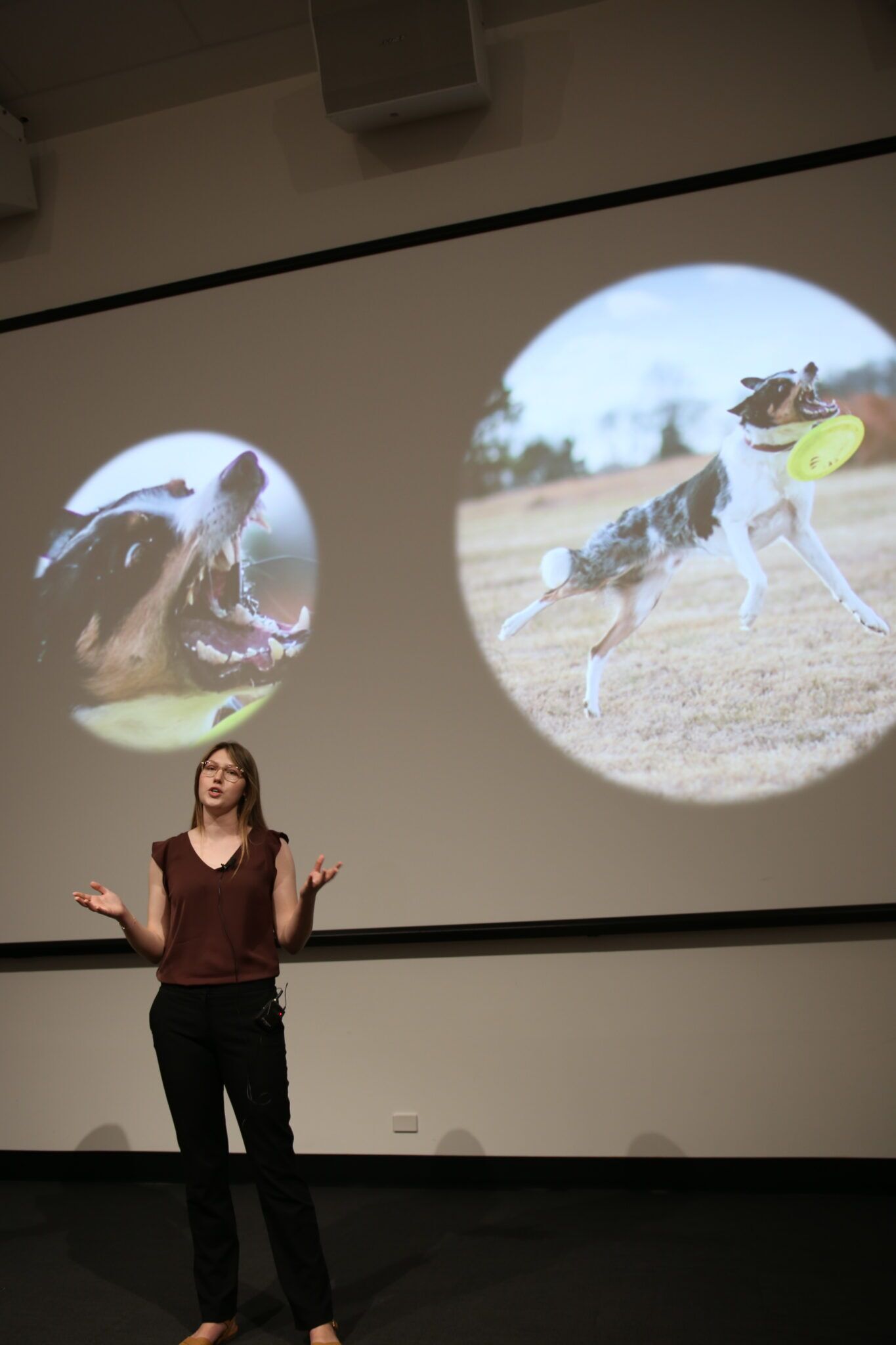 April wins through to October's Asia-Pacific 3MT Final - Griffith News