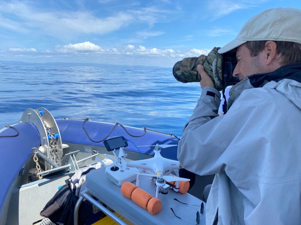 All aboard the remora rollercoaster – camera tags capture wild humpback ...