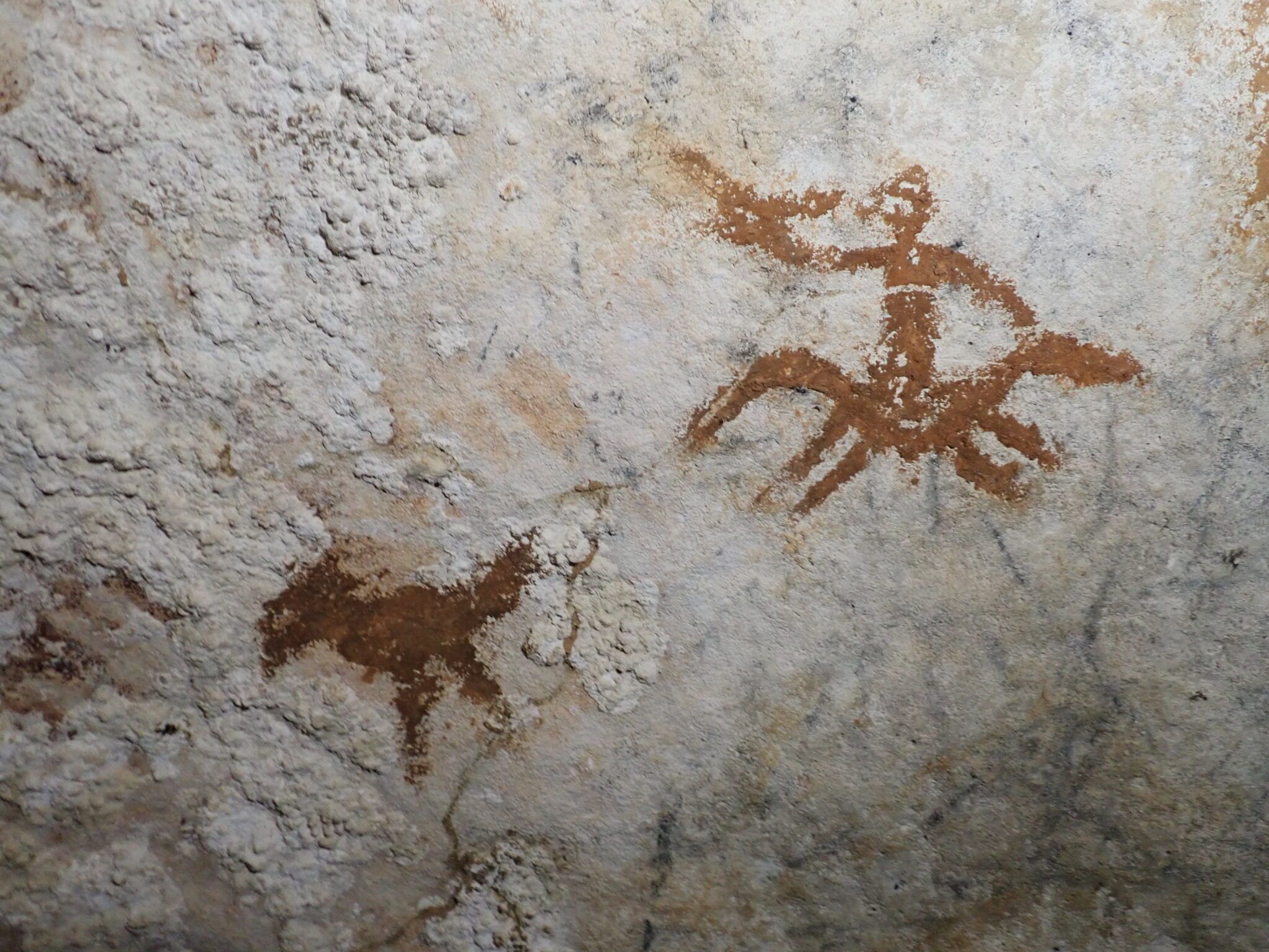 World’s oldest rock art holds clues to early human migration to ...